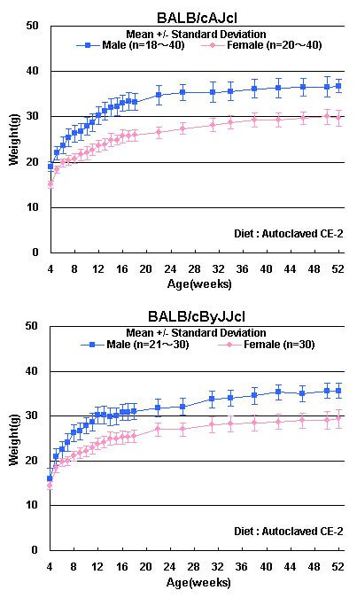 BALB/cAJcl BALB/cByJJcl